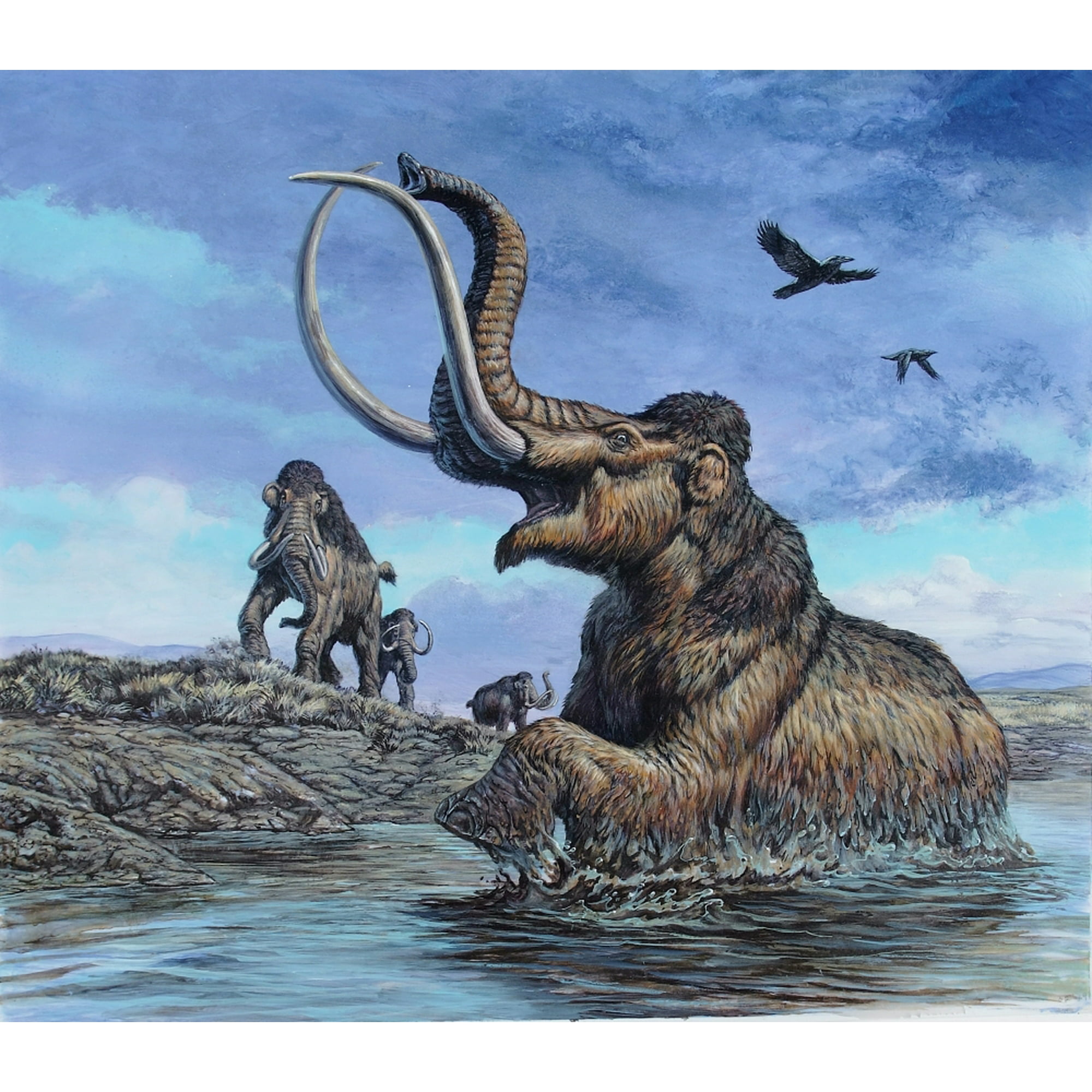 Columbian Mammoth Toy