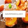Monin Sugar-Free Peach Flavored Syrup, 1 Liter, 338 fl. oz Plastic ...