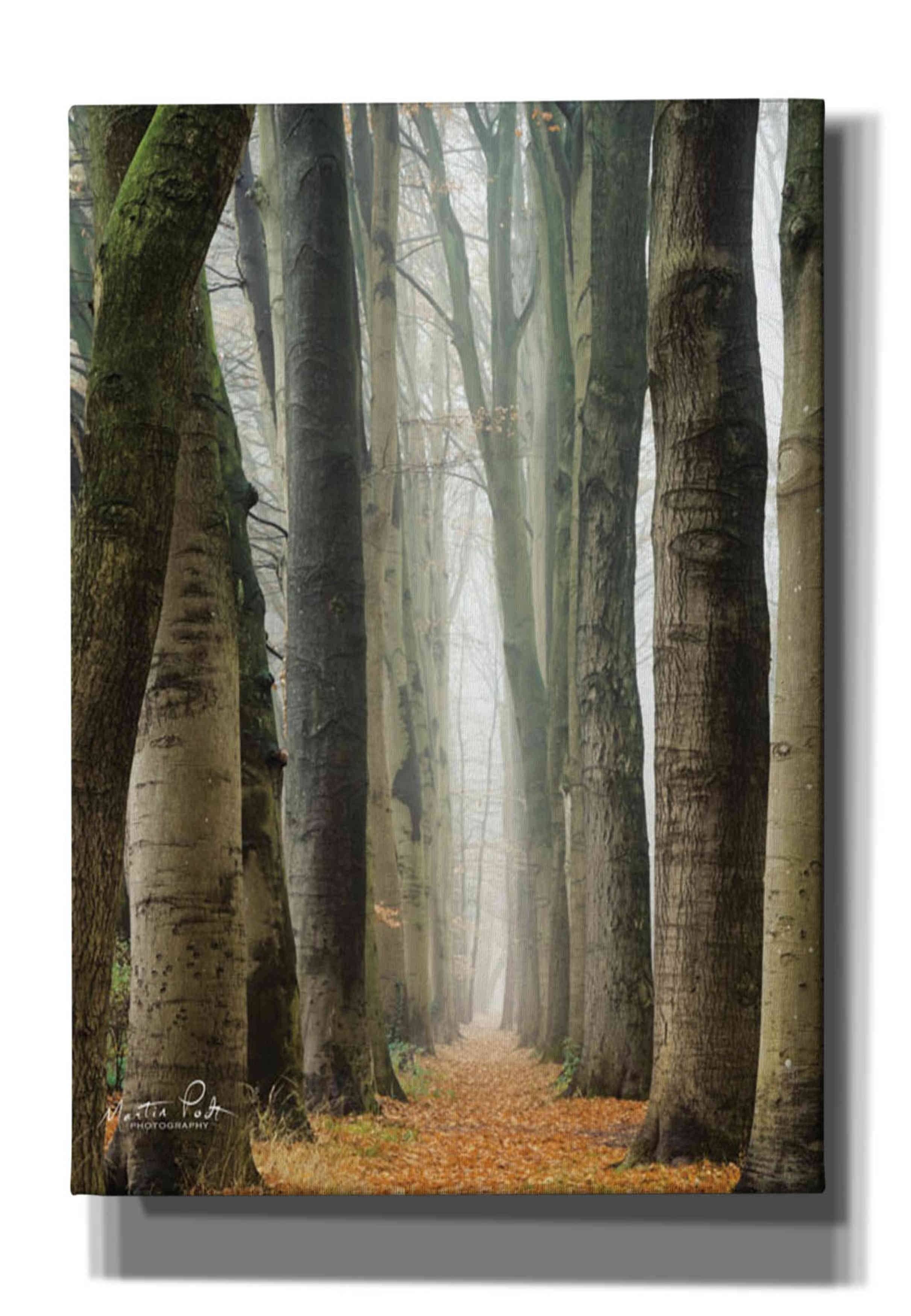 Epic Graffiti 'Narrow Alley in the Netherlands' by Martin Podt, Canvas ...