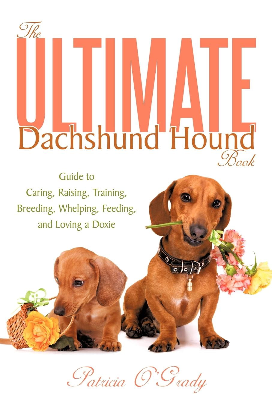 The Ultimate Dachshund Hound Book : Guide to Caring, Raising, Training ...