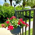 Hold It Mate Heavy Duty Hanging Plant Bracket, Multi-Use Deck Railing ...