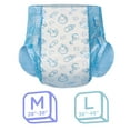 Littleforbig Adult Diaper 10 Pieces - Nursery Blue Diapers - Walmart.com