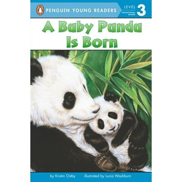 Little Panda (Board Book) - Walmart.com
