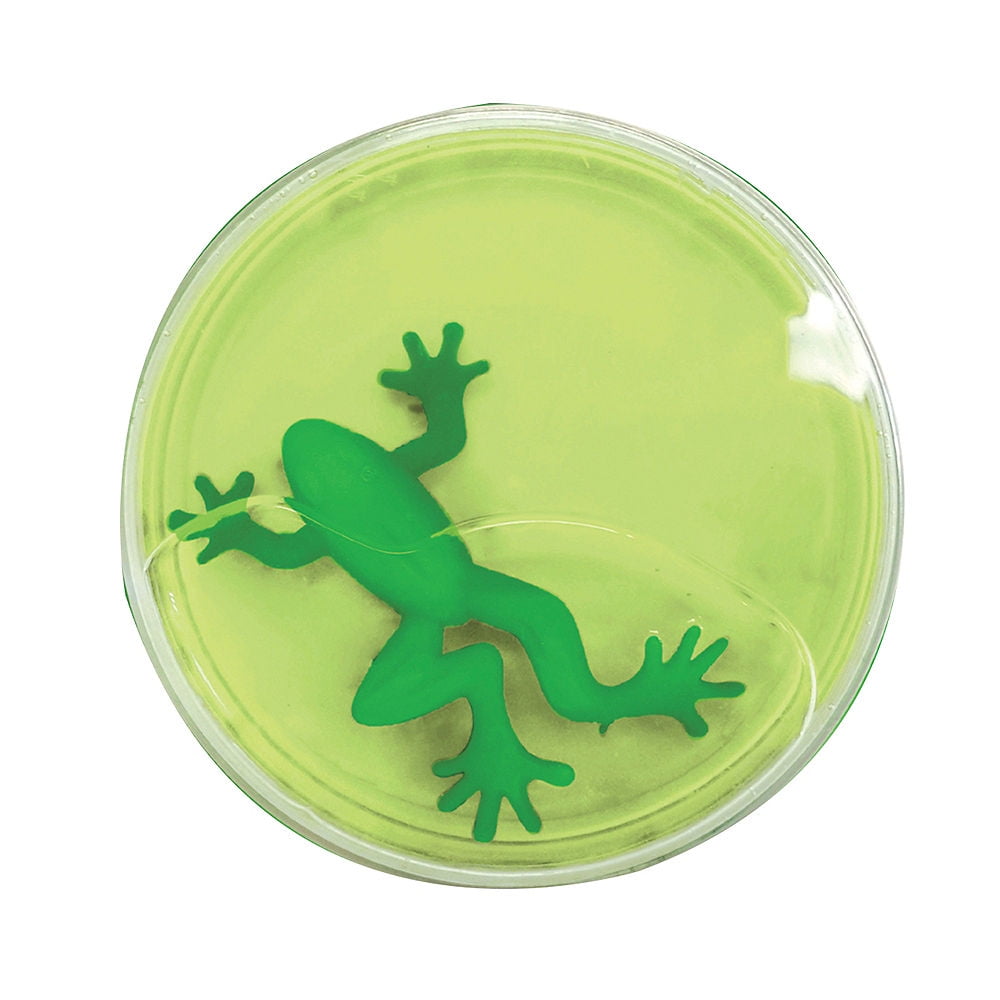 Slimy Frog