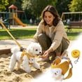 Adjustable Chest Back Harness For Small And Cats Breathable Mesh Cute ...