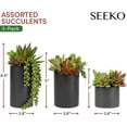 Fake Succulents Plants Artificial in Premium Ceramic Pots (3 Pack ...
