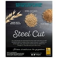 Better Oats Original Steel Cut Oatmeal Packets with Flax Seed, 10 ...