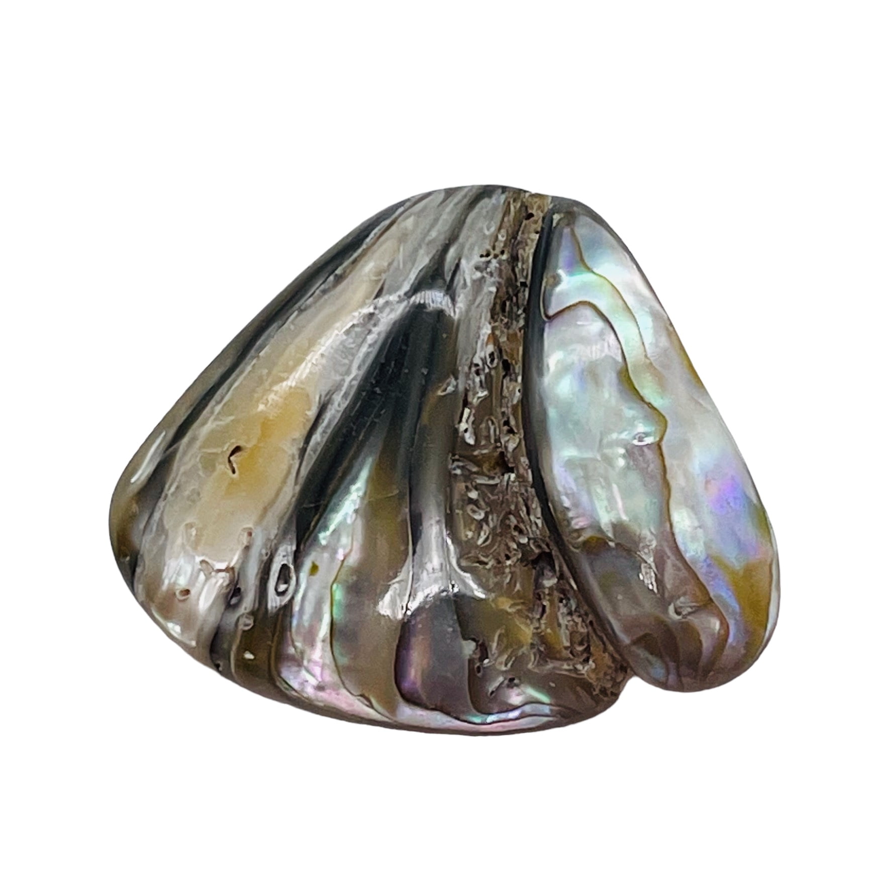 Abalone Hinge Shell | 33x37x10mm | Silver Pink |1 Pendant Bead ...