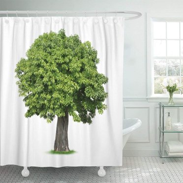 Kenney Carlisle Adjustable Spring Tension Rod for Curtains and Windows ...