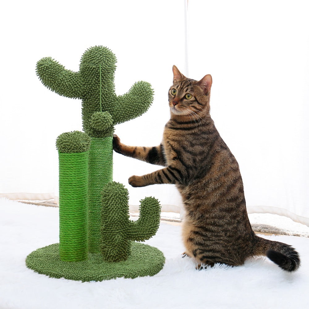 EEPHO Cat Scratching Post; Cactus Cat Scratchers Kitten Scratch Pole ...
