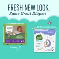 Seventh Generation Overnight Baby Diapers, Free & Clear (Choose Size ...