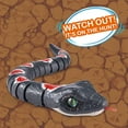 Robo Alive Slithering Snake Battery-Powered Robotic kid Toy by ZURU ...