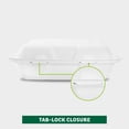 Compostable Clamshell Food Containers 8x8 Inch 50-Pack Biodegradable ...