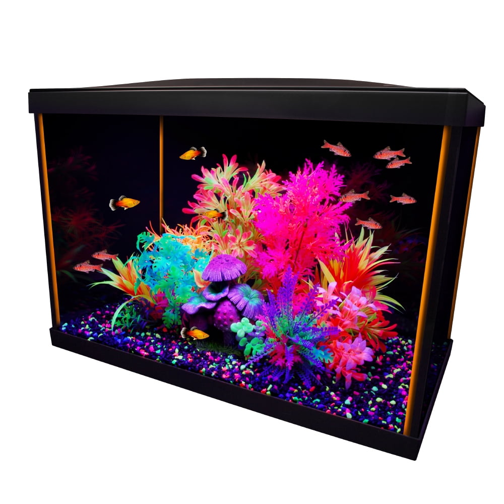 Click here for Marina Iglo 20 Aquarium Kit  Fish Tank 75 L (20 Us... prices
