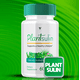 (2 Pack) Plantsulin Capsules Blood and Glycogen Support Health Overall ...
