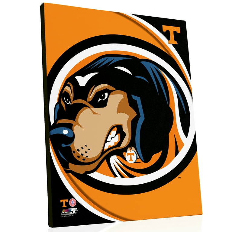 University Of Tennessee Smokey Logo