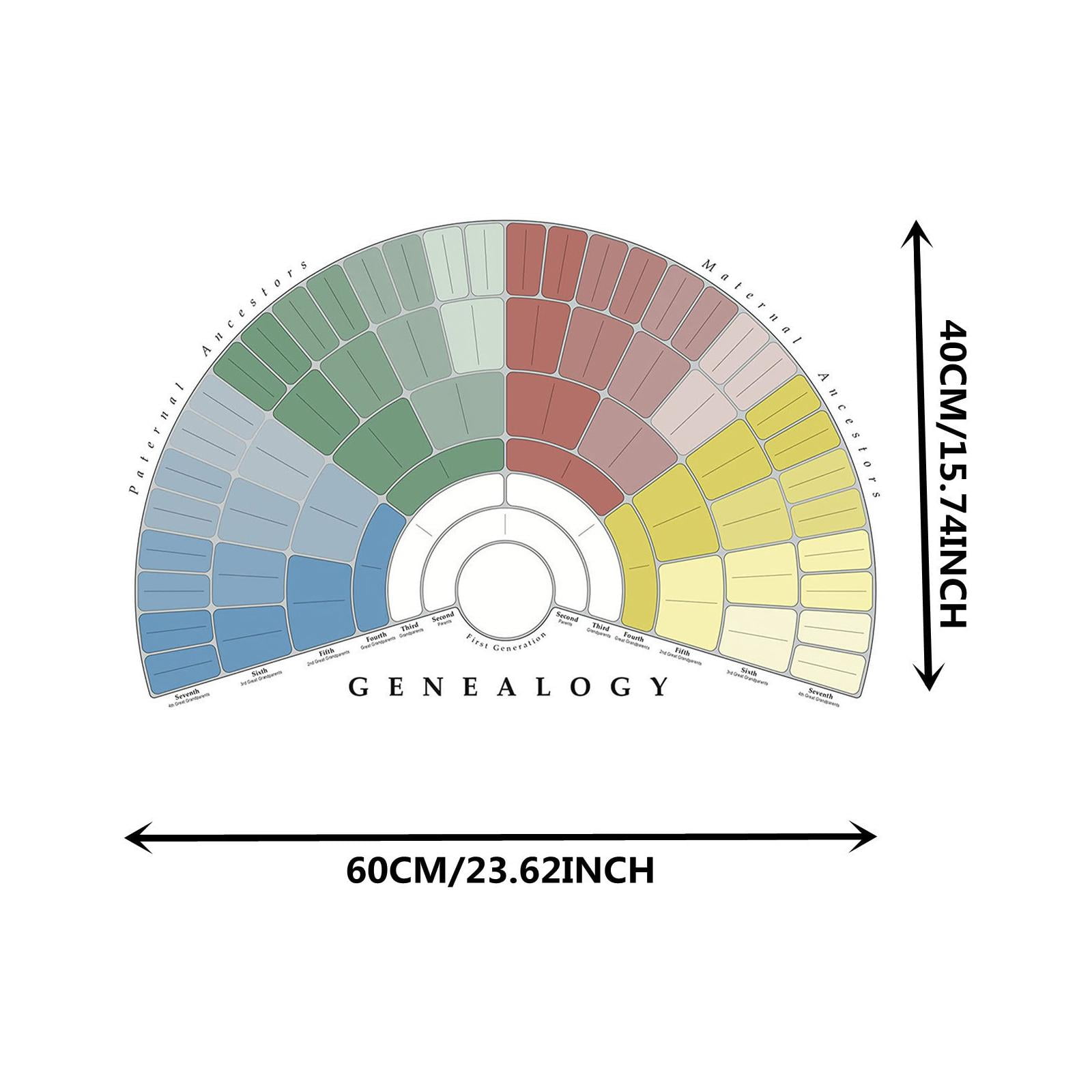 Family Tree Fan Chart Template