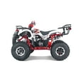 Tao Motor 125 T-FORCE Platinum 120cc Gas Powered Quad Wheeler All ...