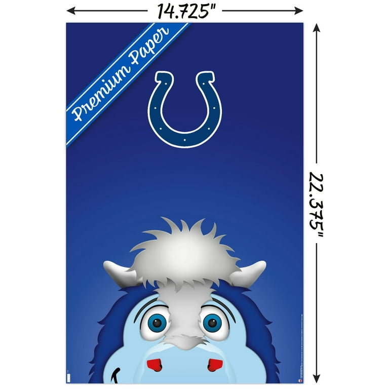 Indianapolis Colts Mascot