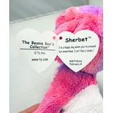 Ty Beanie Boos Sherbet - Multicolor Dog - Walmart.com