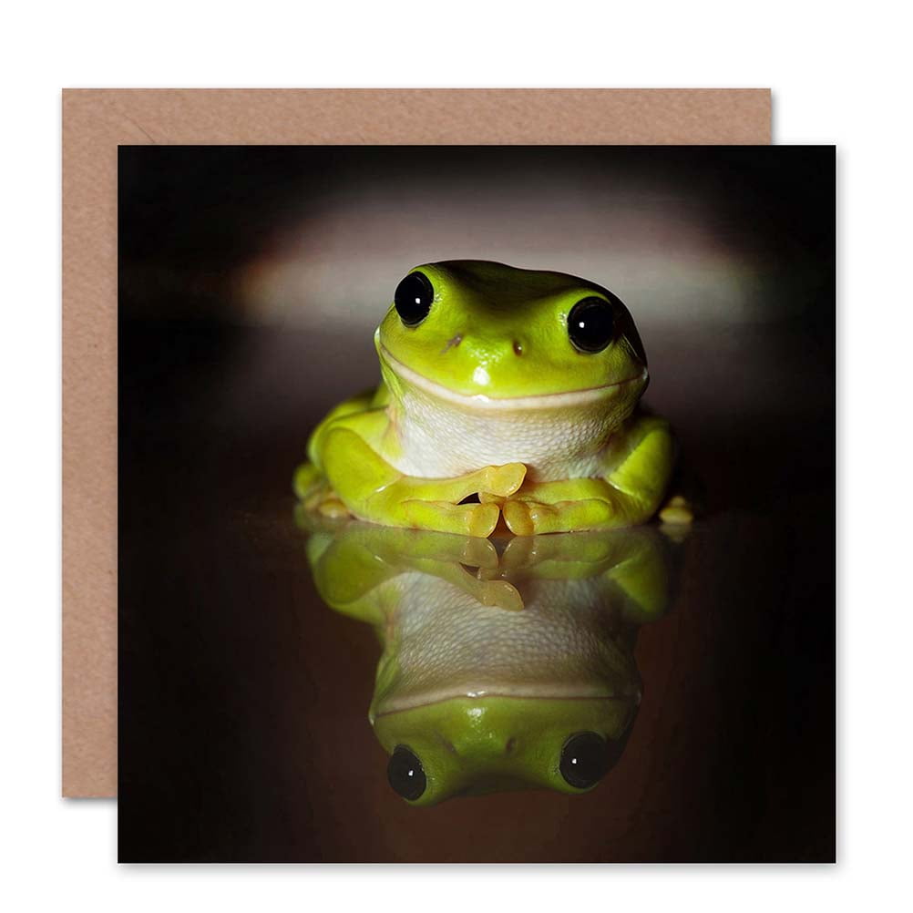 Birthday Animal Green Frog Smiling Greetings Card Plus Envelope Blank ...