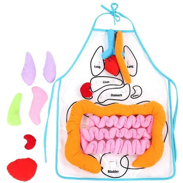 Kids Viscera Teaching Apron 3D Organ Apron Plush Stuffed Guts Internal ...