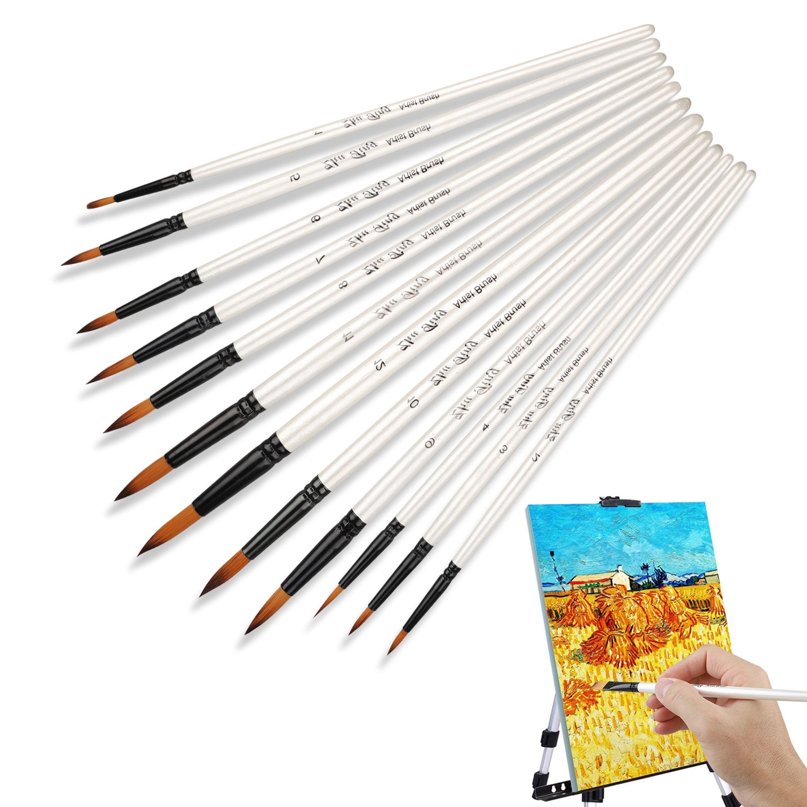 TSV Professional Art Paint Brush Set with Case 12pcs for Artists ...