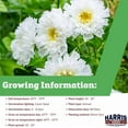Harris Seeds Cosmos Double Click White, Tall Double Bloom Cut Flower ...
