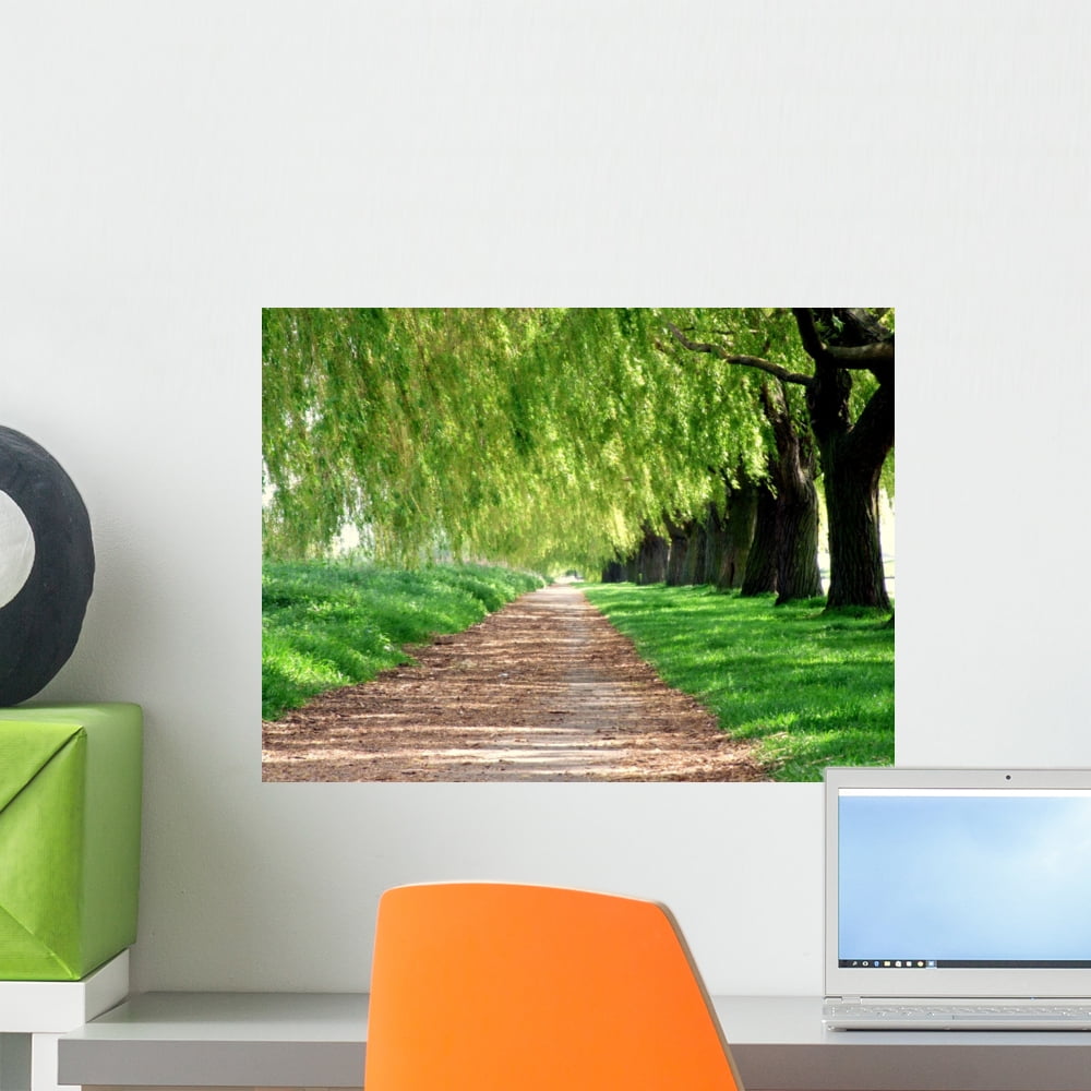 Treelined Path Wall Mural by Wallmonkeys Peel and Stick Graphic (18 in ...