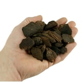 Orchiata Orchid Substrate - 18-25mm SUPER (1 Quart) - Walmart.com