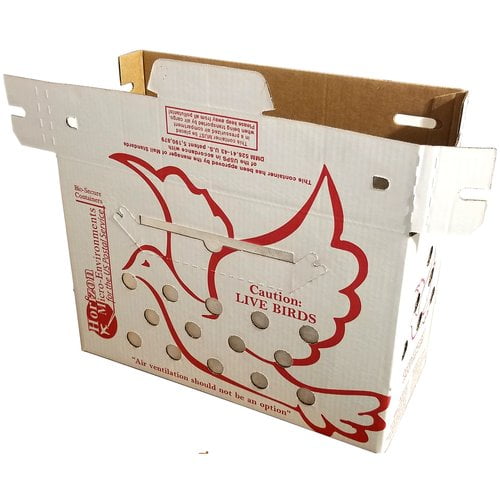 Chick Cardboard Shipping Boxes