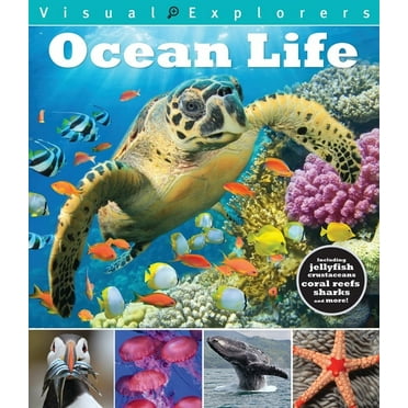 Guess Who Ocean Friends (Board Book) - Walmart.com