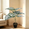 Njshnmn White Variegated Anthurium Leaves Faux With White Marbling For ...