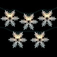 Northlight 10-Count White Glittered Snowflake Christmas Light Set, 6ft ...