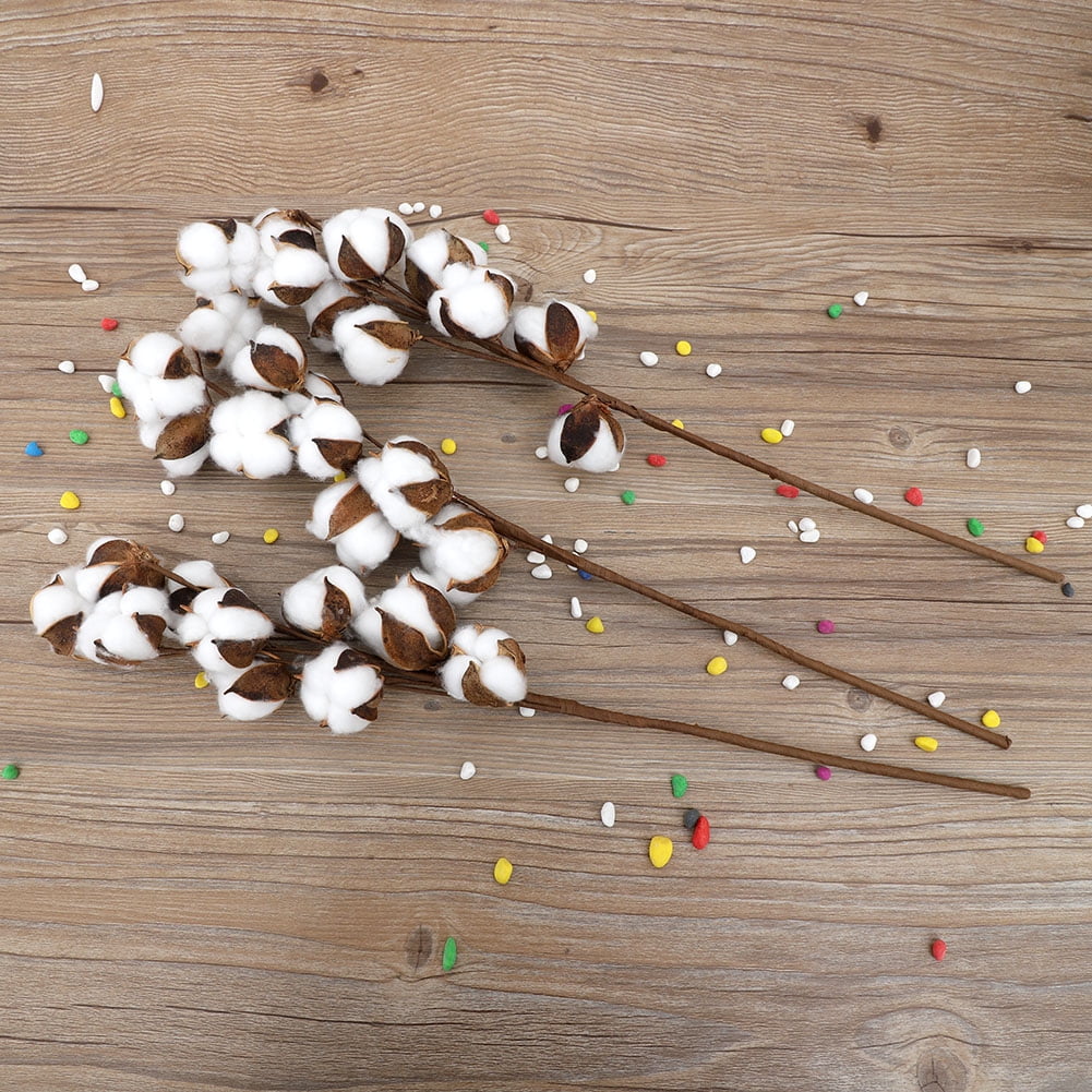 Click here for Unbranded Dried Flower 3pcs 10 Bolls Natural Cotto... prices