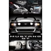 Mustang Poster History of the Ford Mustang Poster 24"x36" 1964-2013 ...