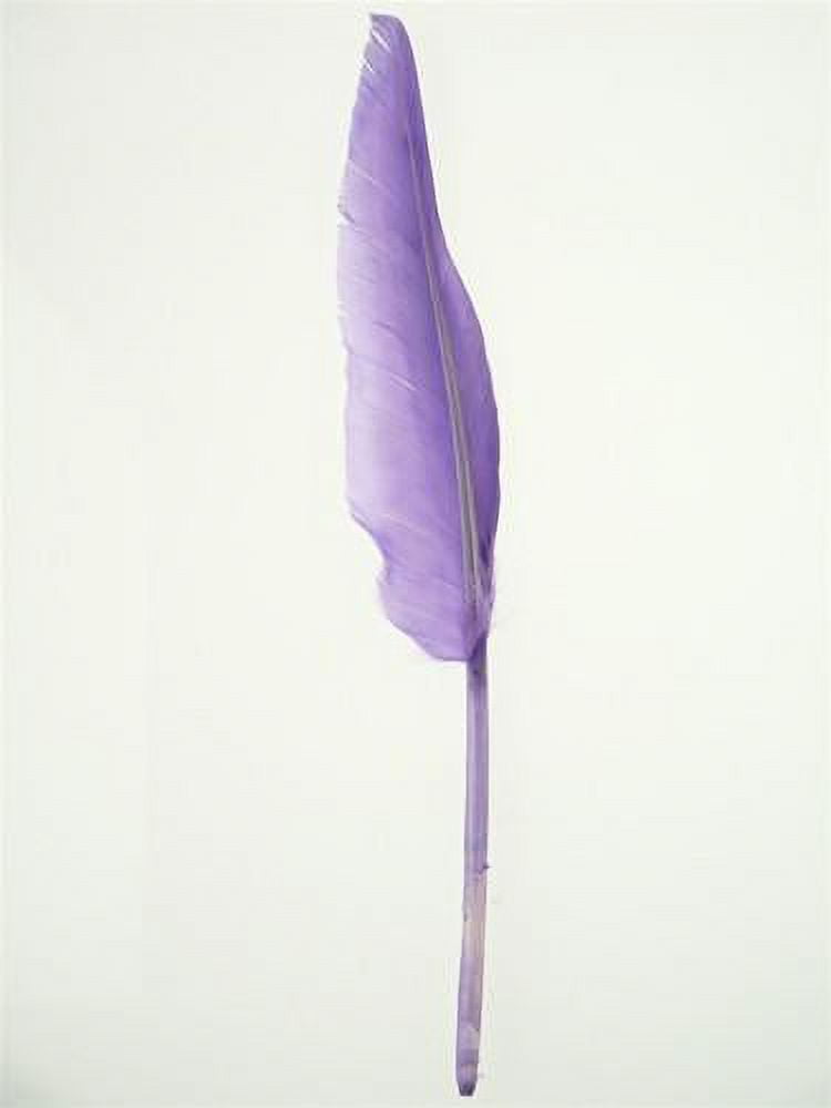 Duck Feather Decorative, 14-inch, 10-piece, Lavender - Walmart.com