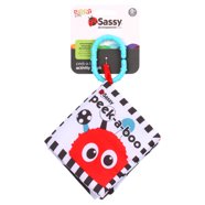 Sassy Look Book Baby Photo Album with High Contrast Patterns Holds 6 ...