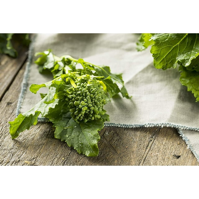 Spring Rapini (Raab) - Broccoli Seeds - Non-GMO - 2 Grams ...