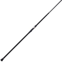 PENN Prevail III Surf Conventional Rod, 10 Ft, Medium Power, Moderate ...