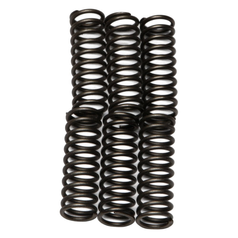 EBC CSK Series Heavy Duty Clutch Spring Kit - Walmart.com