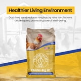 Premium Chicken Sand, Odor Eliminating Bedding for Chicken Coops, 50 Lb ...