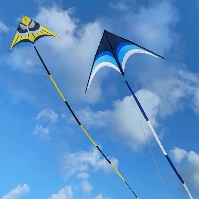 Giant Delta Kites