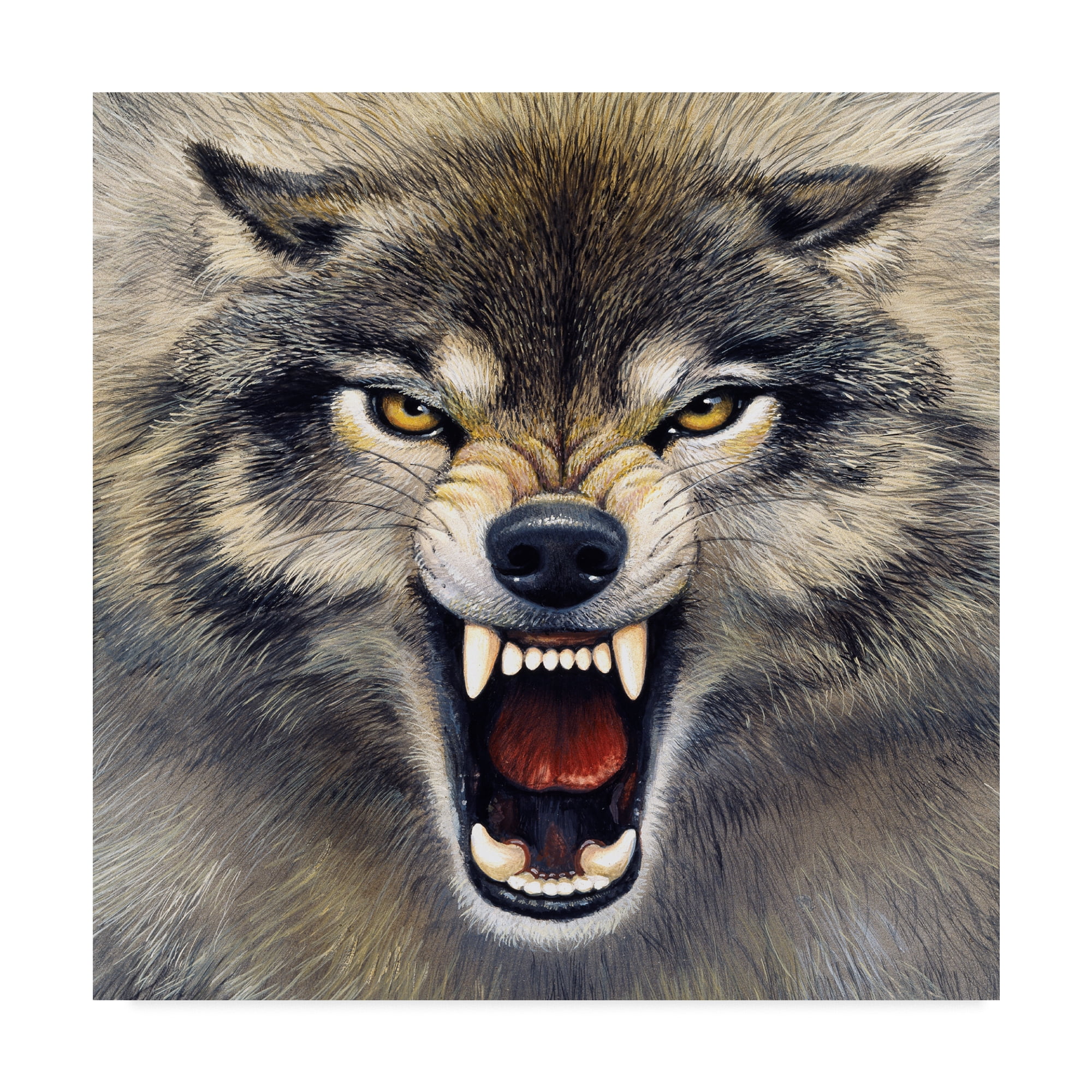 Trademark Fine Art 'Wolf Roaring' Canvas Art by Harro Maass - Walmart.com