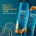 Royal Oils by Head & Shoulders Sulfate Free Scalp Care Shampoo and ...
