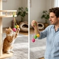 1 Pack Hanging Cat Toy Hanging Interactive Kitten Plaything Interactive ...