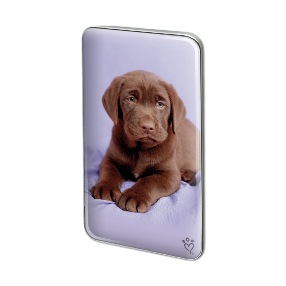 Lab Labrador Puppy Dog on Lavendar Metal Rectangle Lapel Hat Pin Tie ...