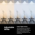 38 reflector light, equivalent to 90 watts, dimmable, adjustable beam ...