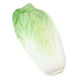 Zehuanyu Fake Vegetable Artificial Vegetable Lifelike Chinese Cabbage ...
