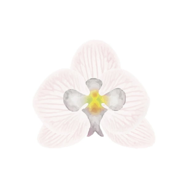 Crystal Candy White Orchid Edible Flower Kit - Pack of 9 - Walmart.ca